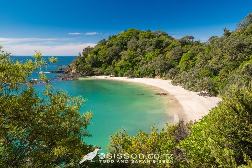 New Zealand Landscape Image | Whale Bay, Tutukaka coast, Northland ...