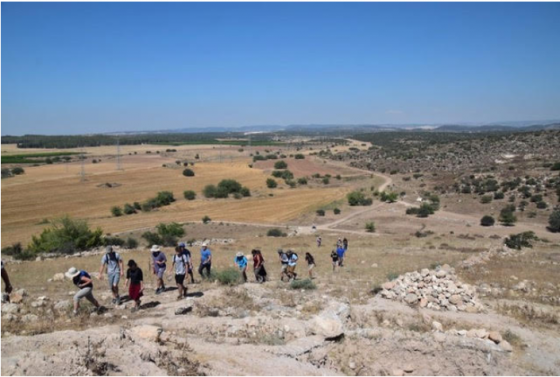Israel Archaeological Dig #3 | Kiwiblog